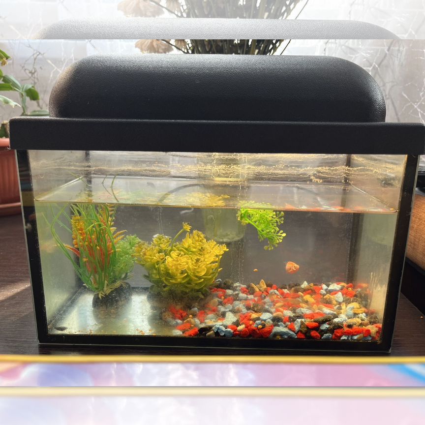 Аквариум с подсветкой