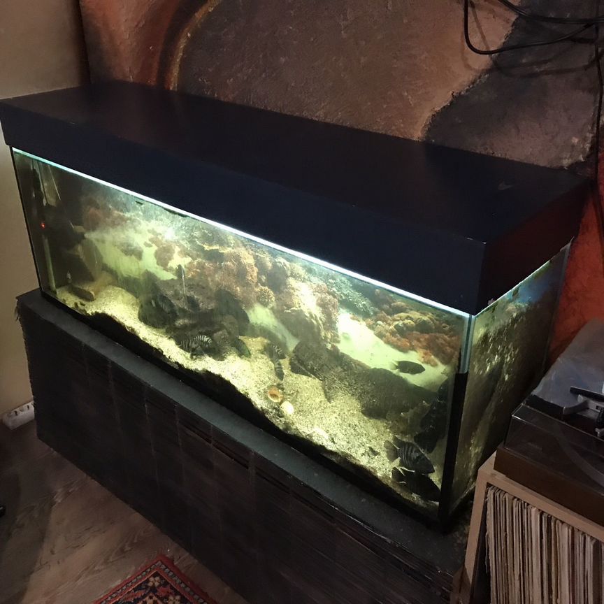 Аквариум 200 литров