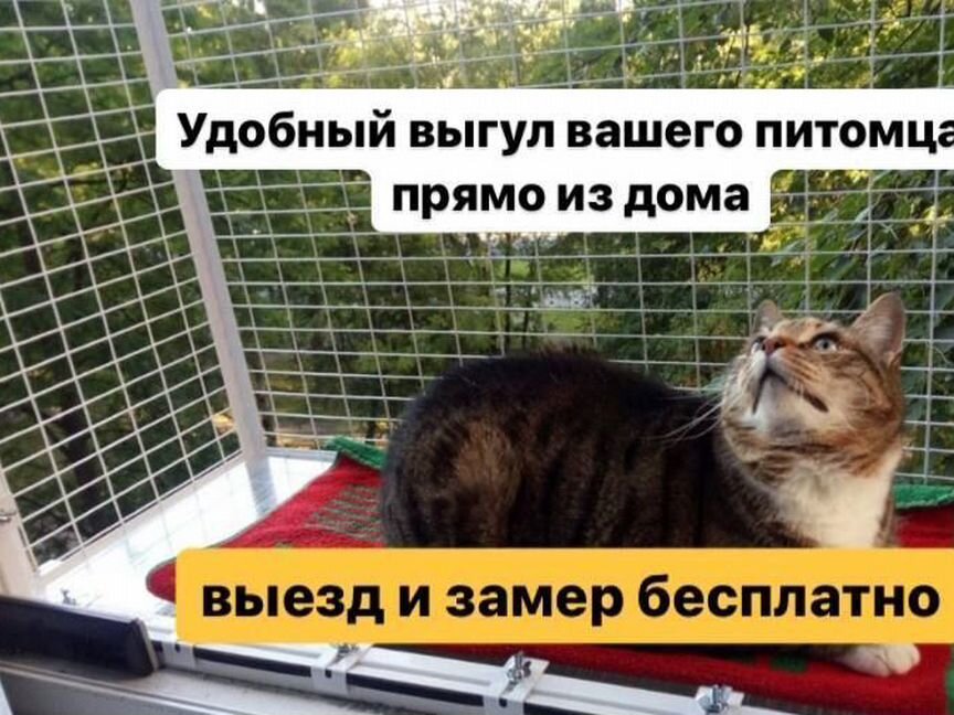 Вольер для кошек на окна