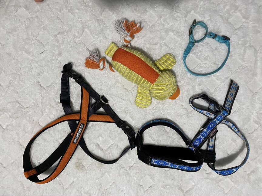 Шлейка для средней собаки