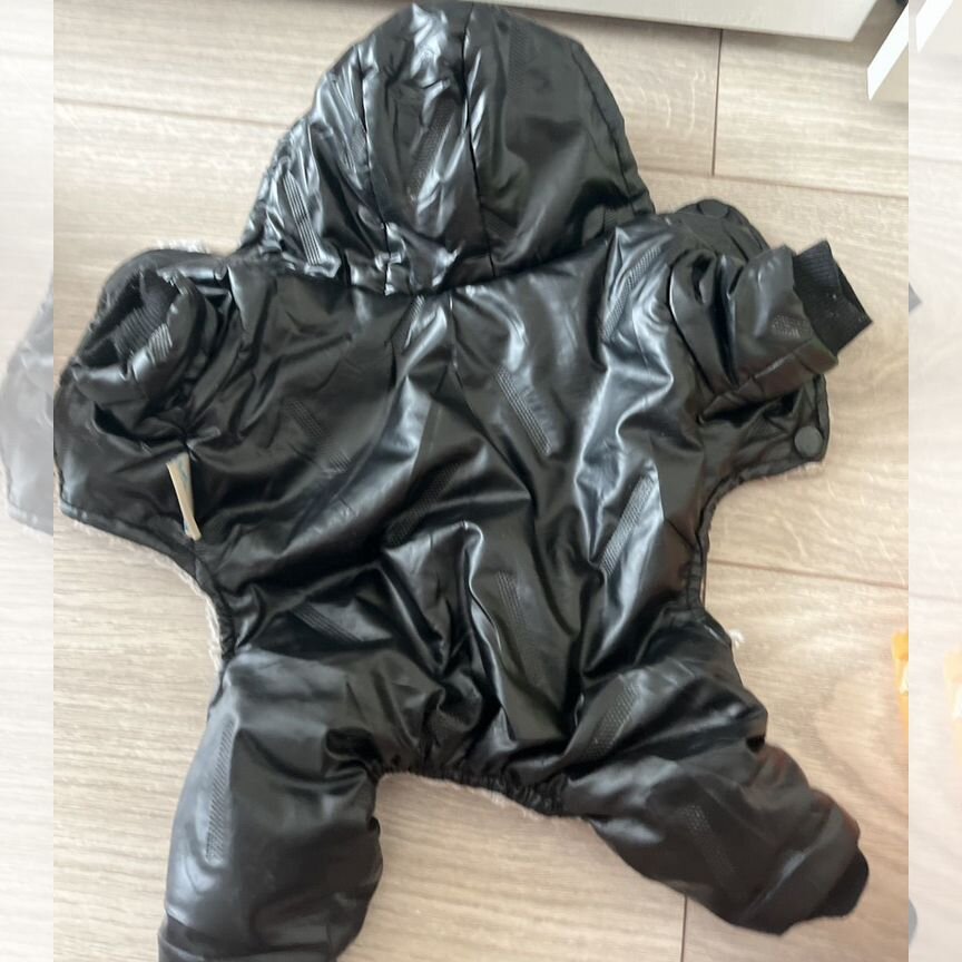 Одежда для собак