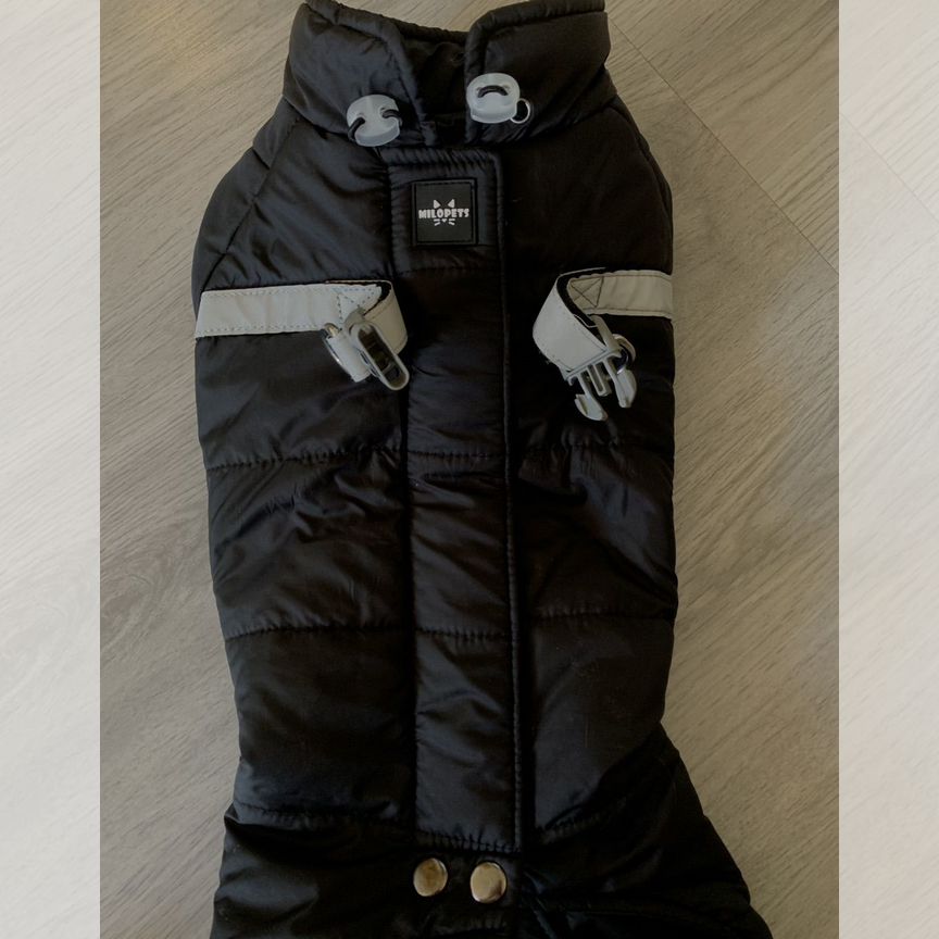 Костюм для собак