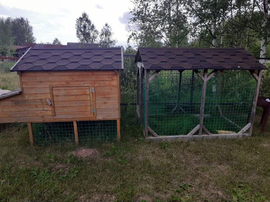 Курятник бу