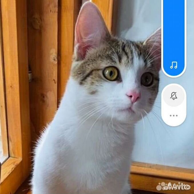 Семён Милый малыш Лучший маме