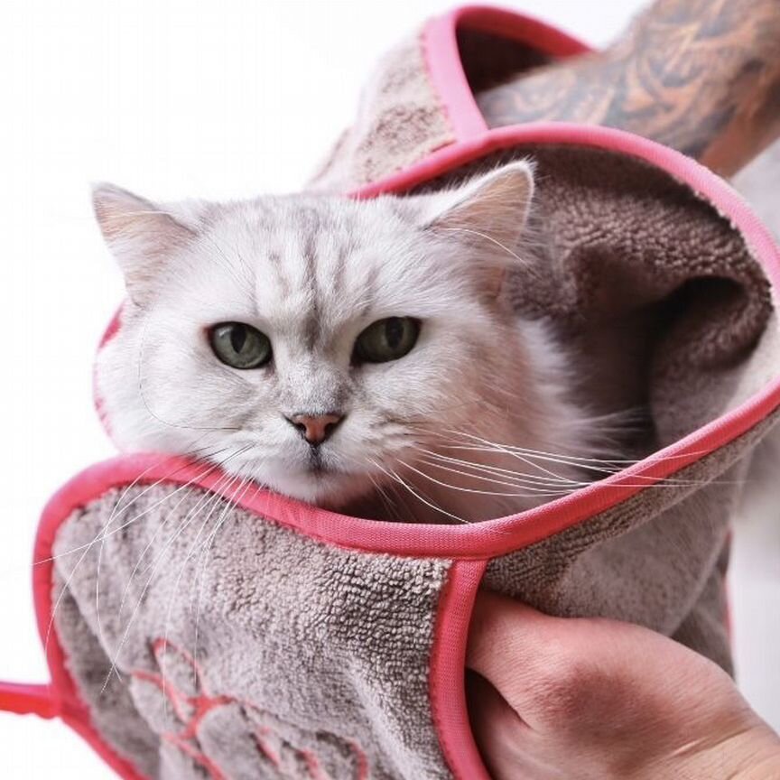 Полотенце для животных