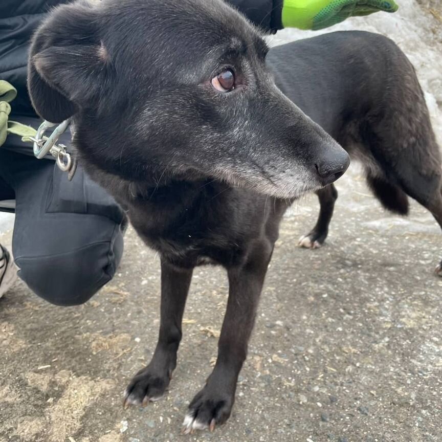 Ночка мечтает лишь об одном