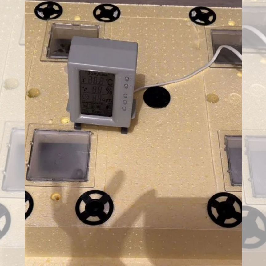 Инкубатор для яиц автоматический бу