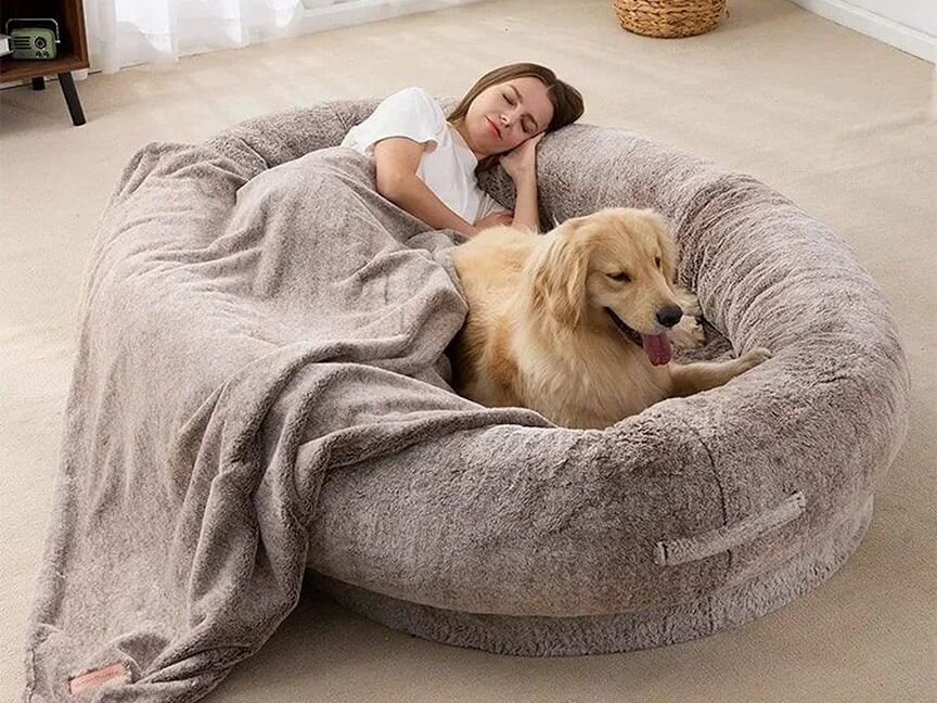 Огромная лежанка для собак и хозяина