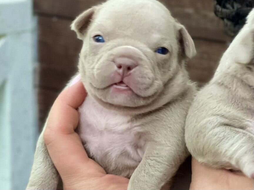 Чудесная малышка