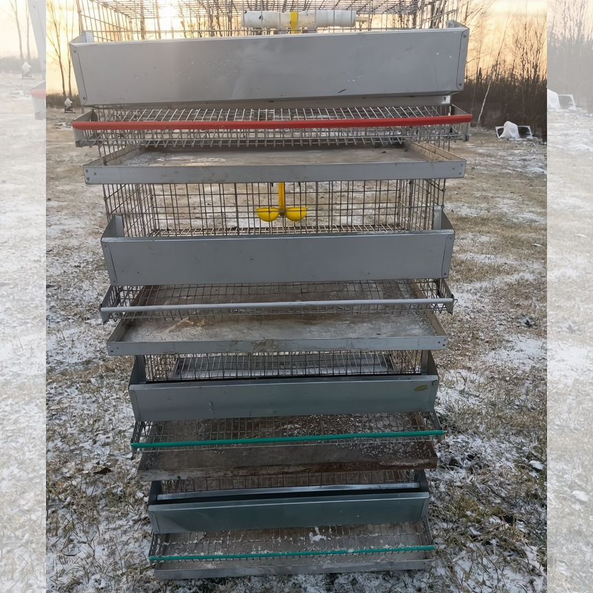 Клетки для перепелов