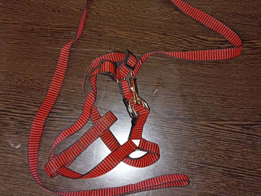 Шлейка для средней собаки