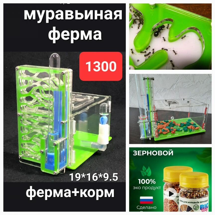 Муравьиная ферма без муравьев