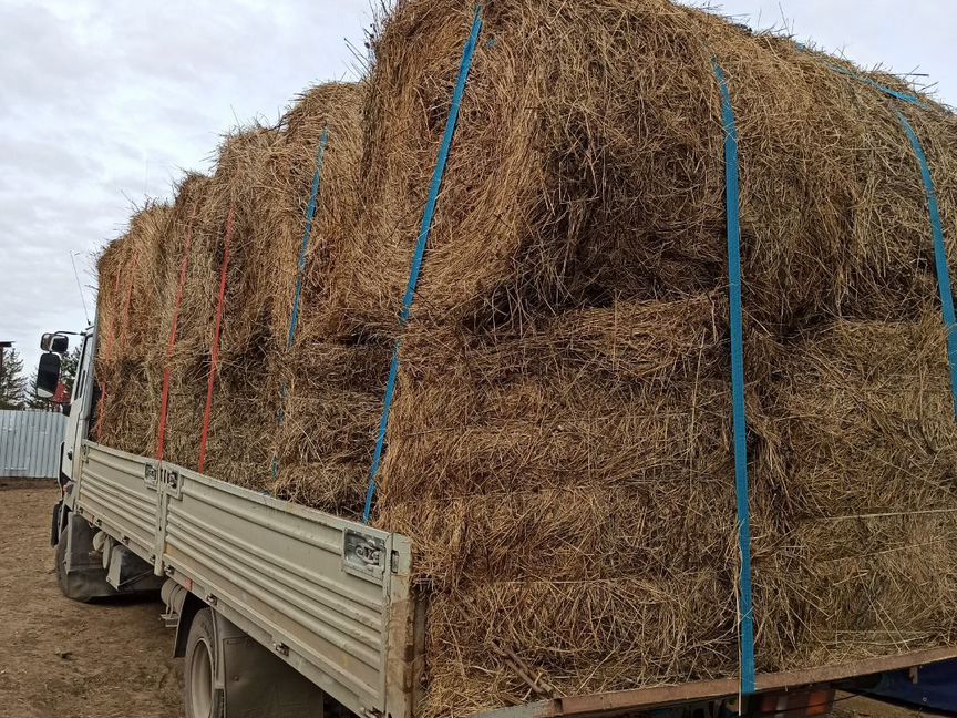 Сено в рулонах