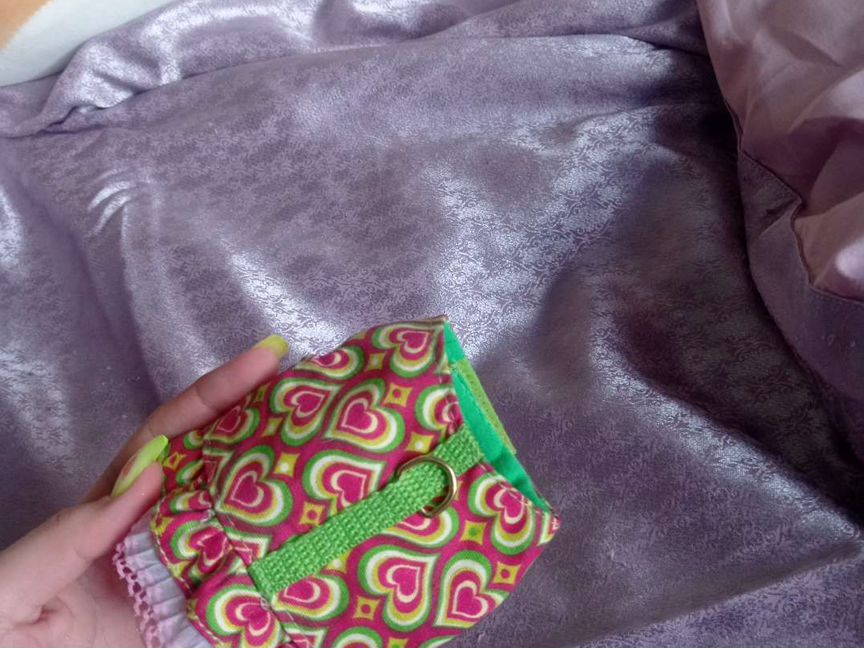 Шлейка для хорька