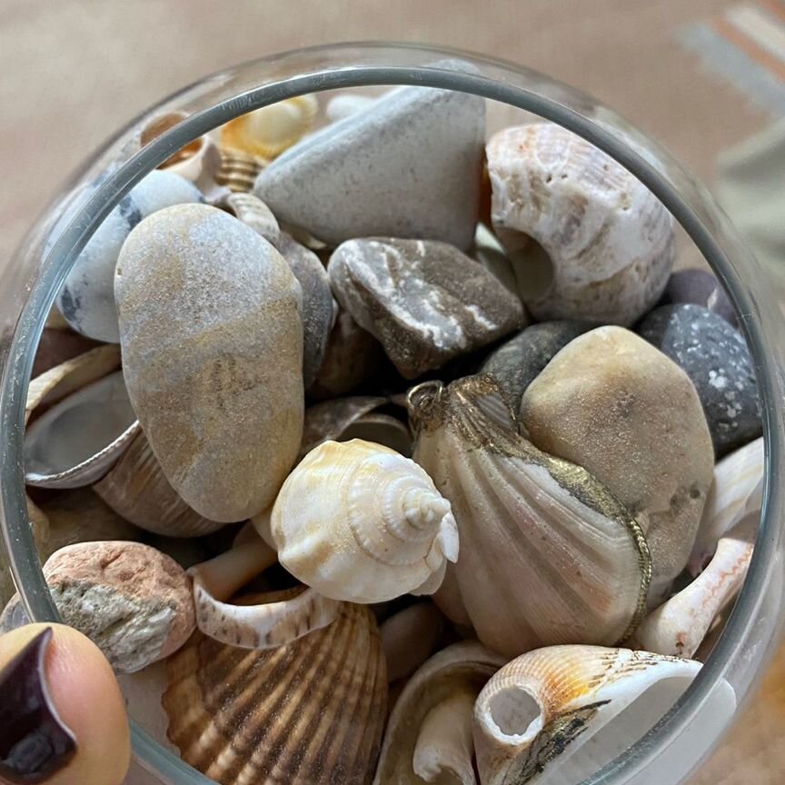 Морские камушки, ракушки и раковины