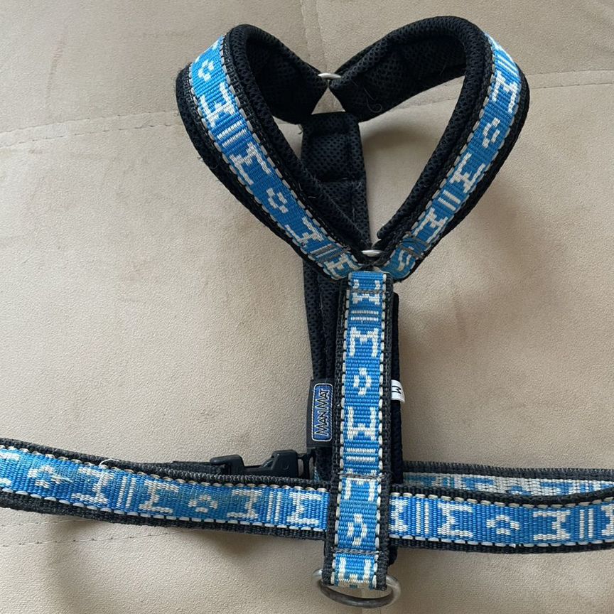 Амуниция для дрессировки собак