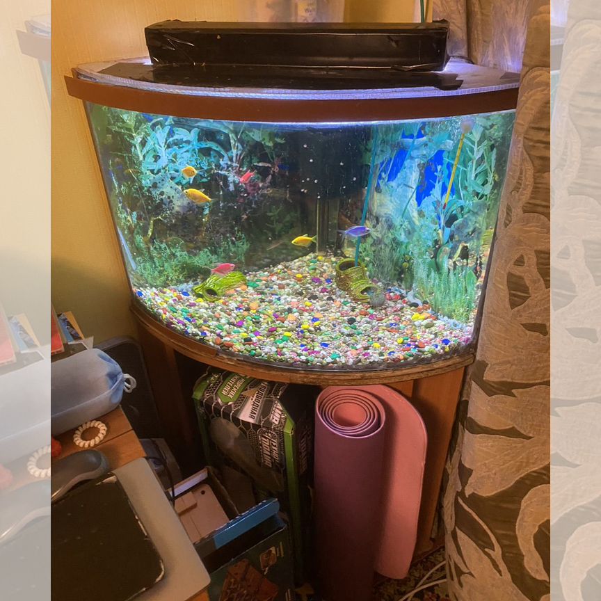 Аквариум с тумбой 90 литров угловой