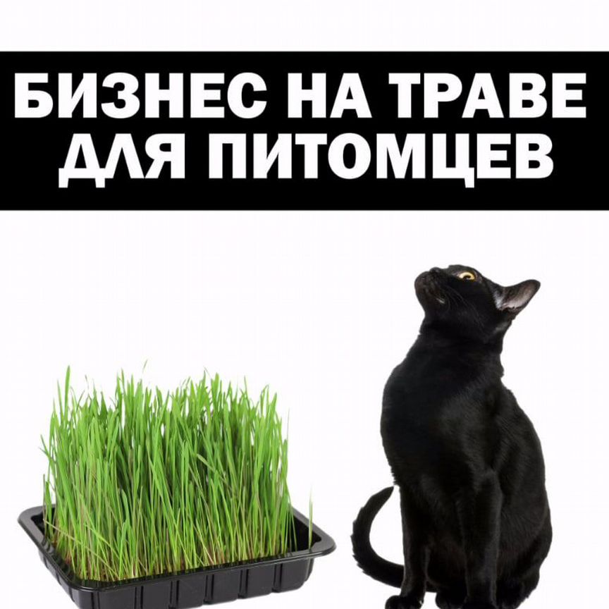 Трава для животных (готовый бизнес)