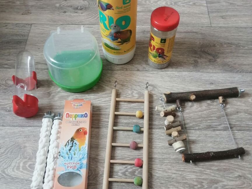 Вещи для попугая