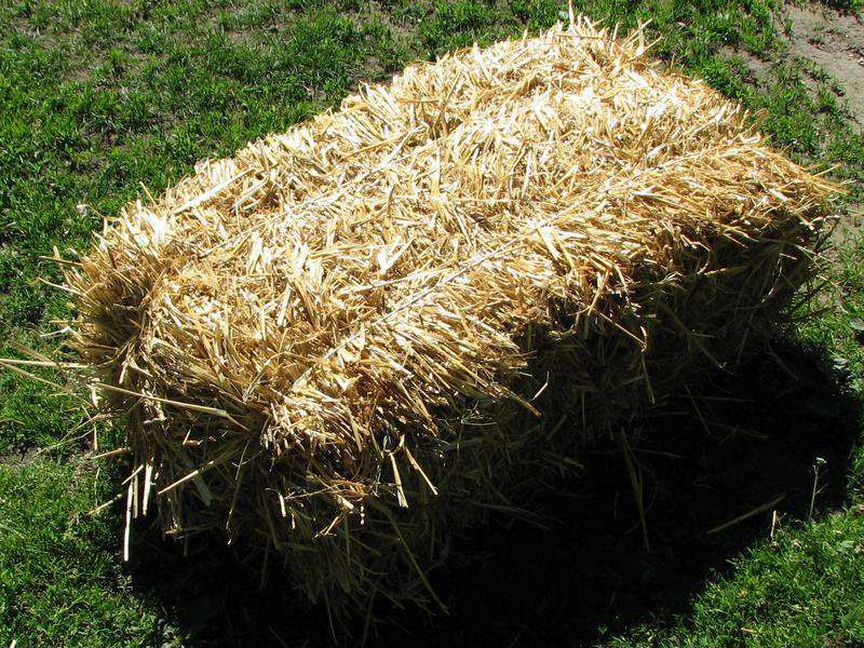 Солома в тюках