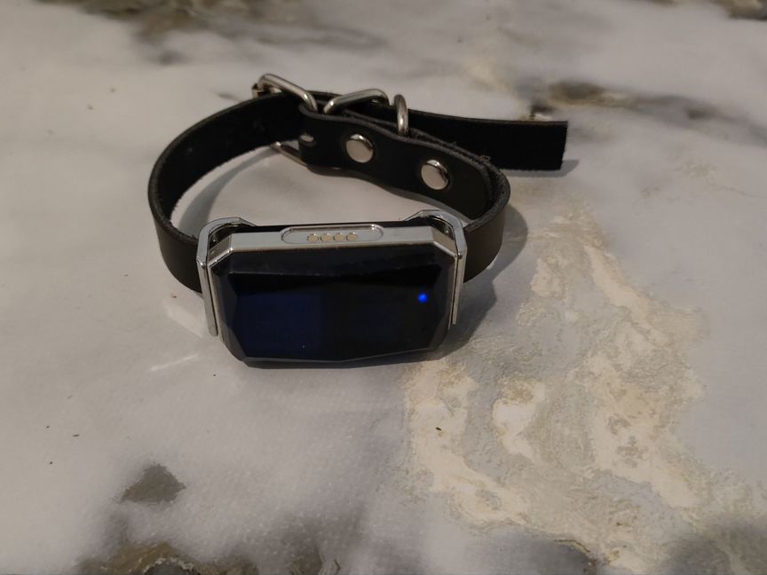 Gps ошейник hadog-03