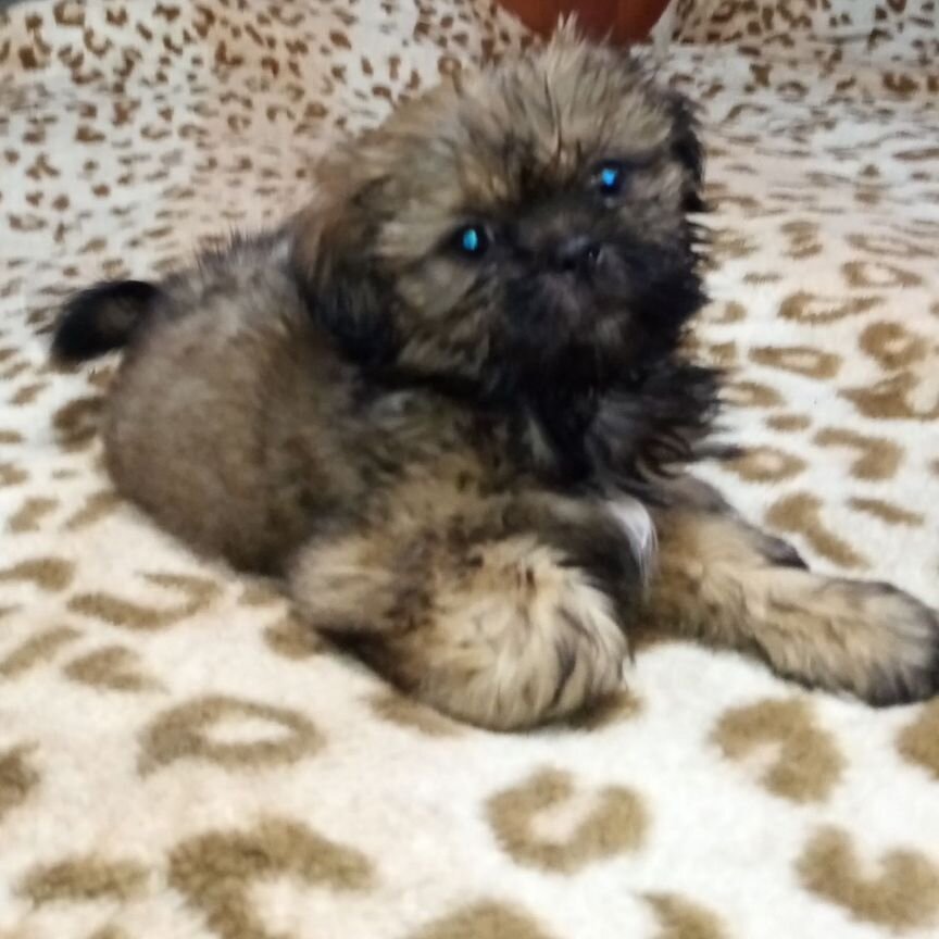 Мальченок красавец