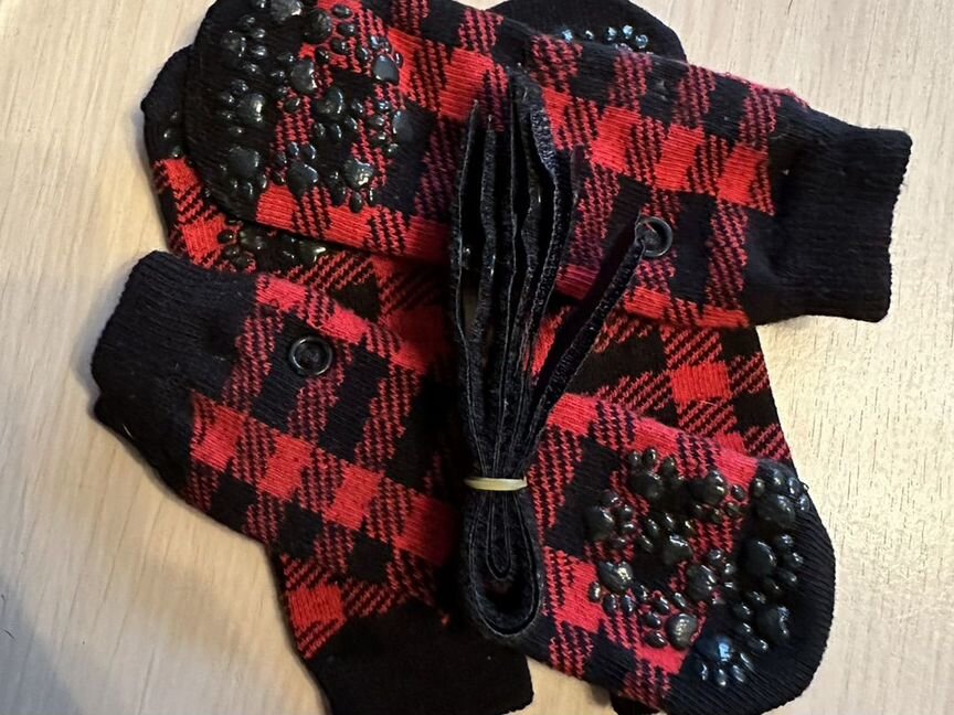 Носки для собак с липучками