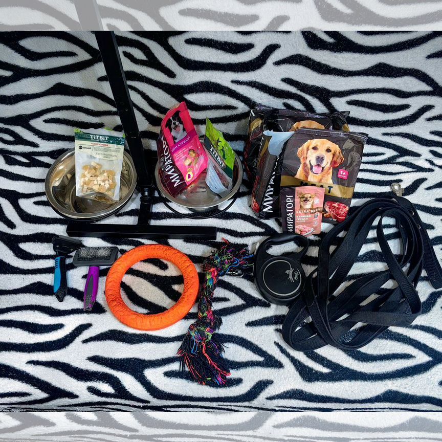 Принадлежности для собаки