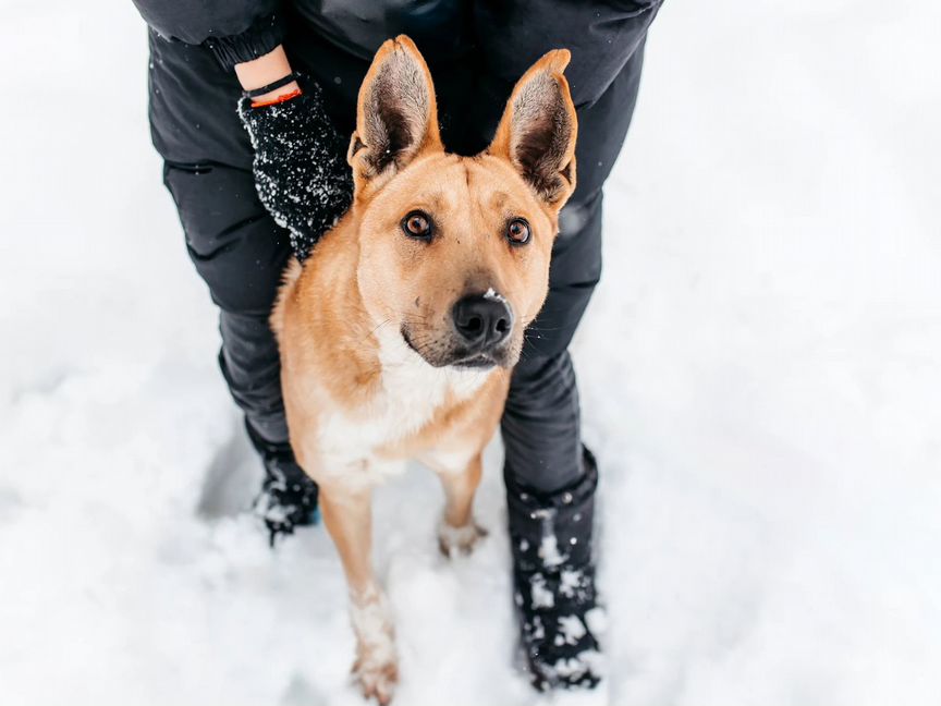 Бруклин в поисках семьи