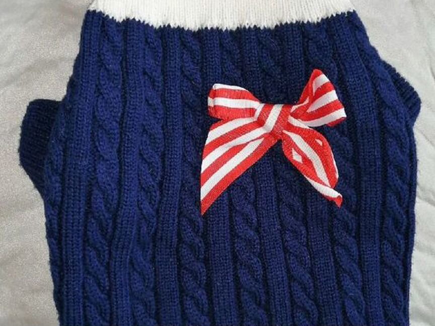 Одежда для собак