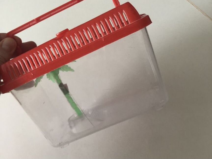 Переноска для рептилий или черепах