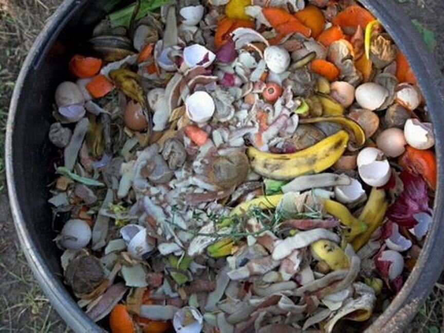 Пищевые отходы для животных