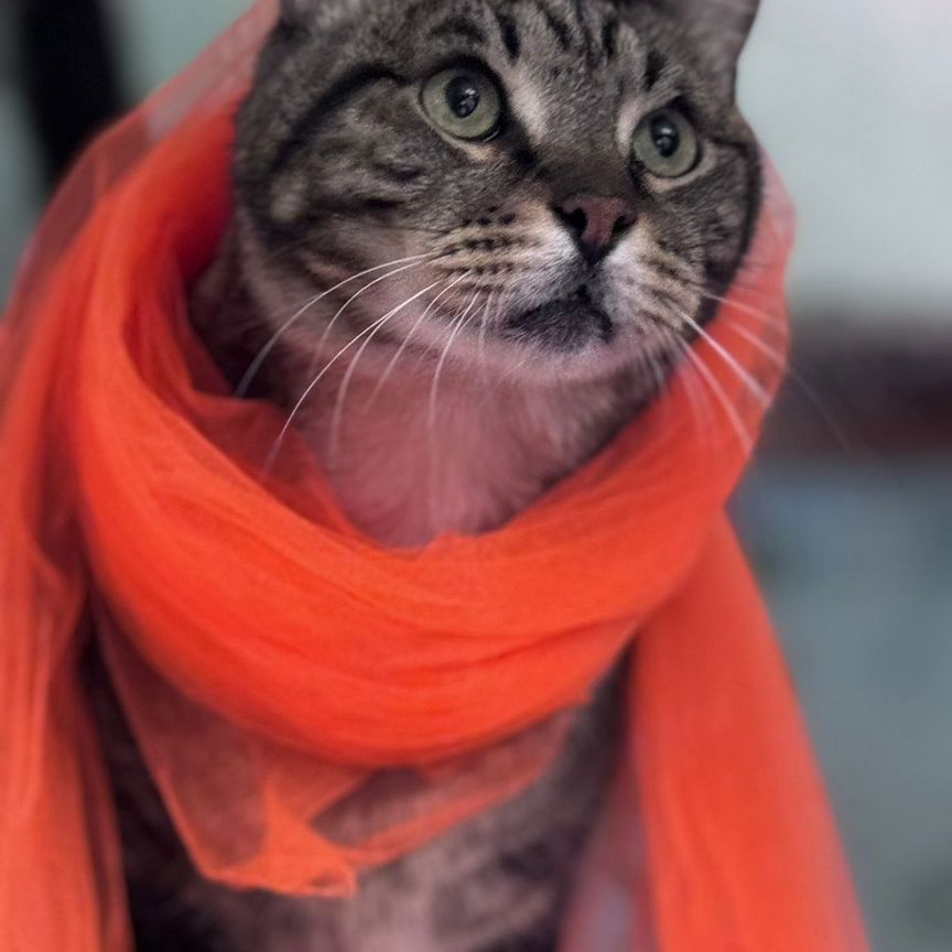 Жан в добрые руки