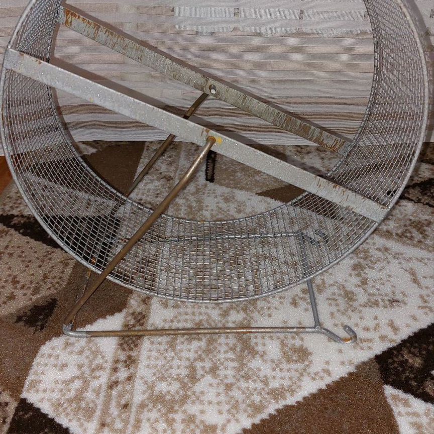 Колеса для грызунов