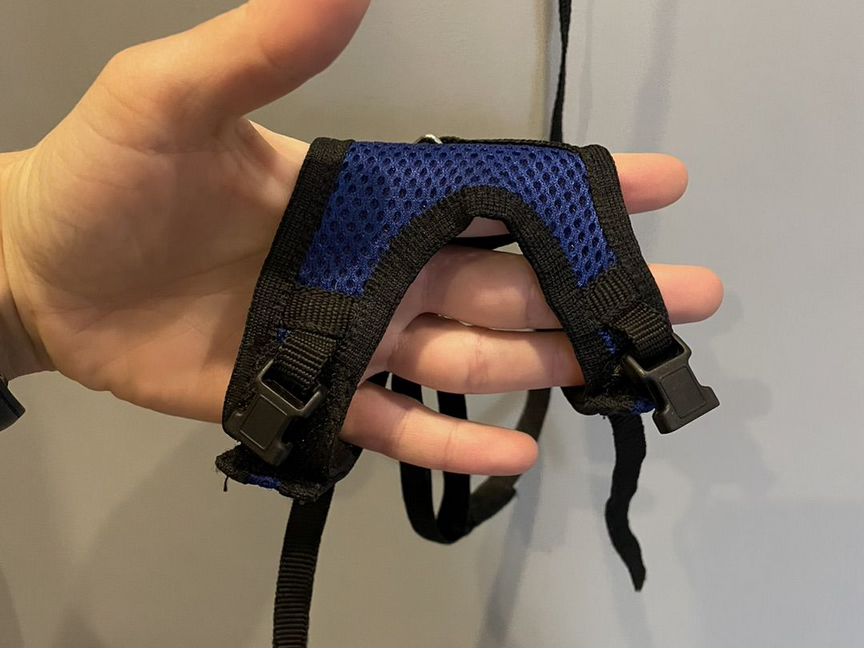 Шлейка для морской свинки/хорька