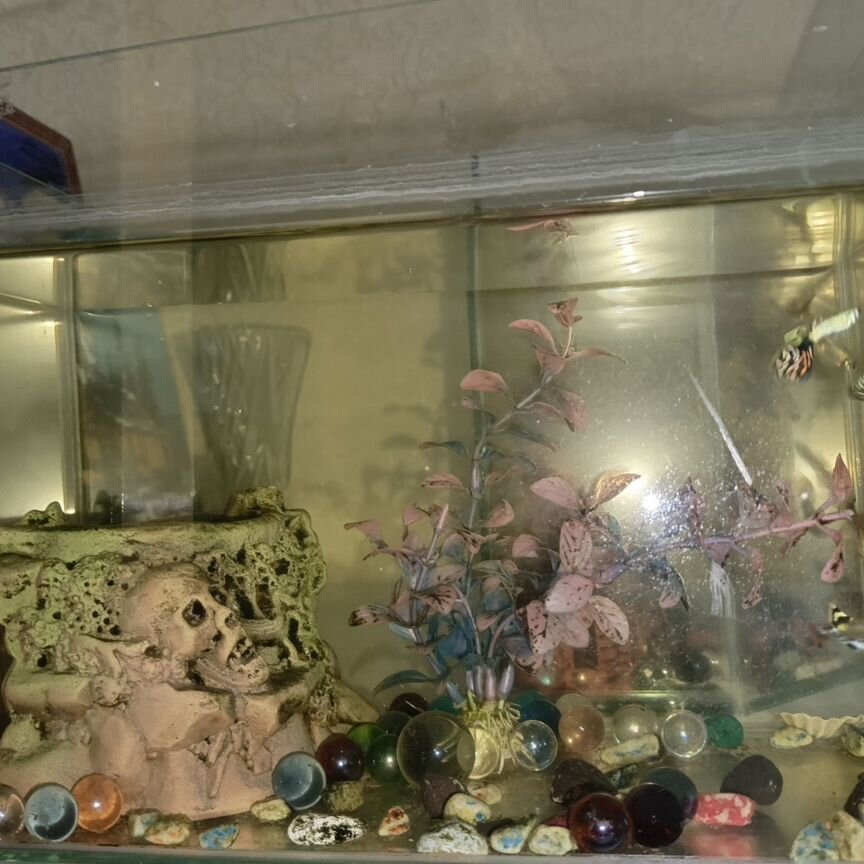 Аквариум с рыбками