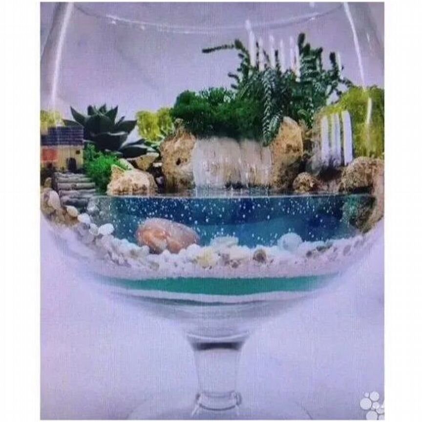 Ракушки раковины камни для декора, поделок