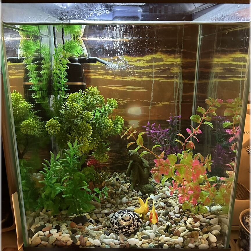 Аквариум 30 литров