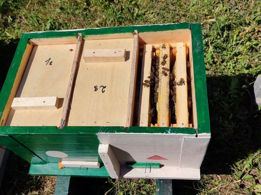 Улей для пчел бу