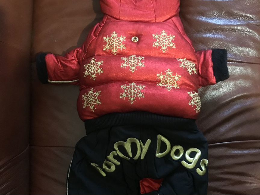 Одежда для собак мелких пород зима