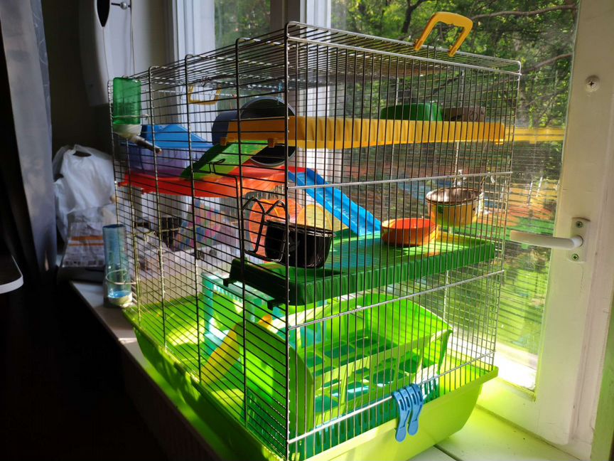 Клетка для грызунов (хомяк, крыса,шиншилла, дегу)