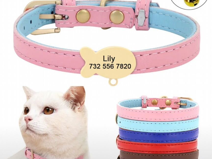 Персонализированный ошейник для кошек
