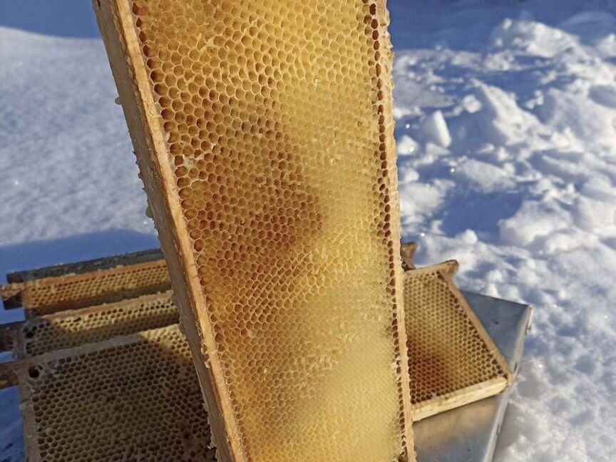 Рамки магазинные с сушью