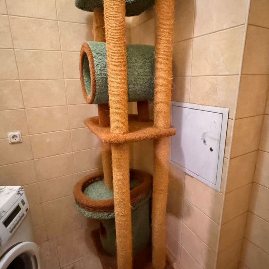 Когтеточка бу