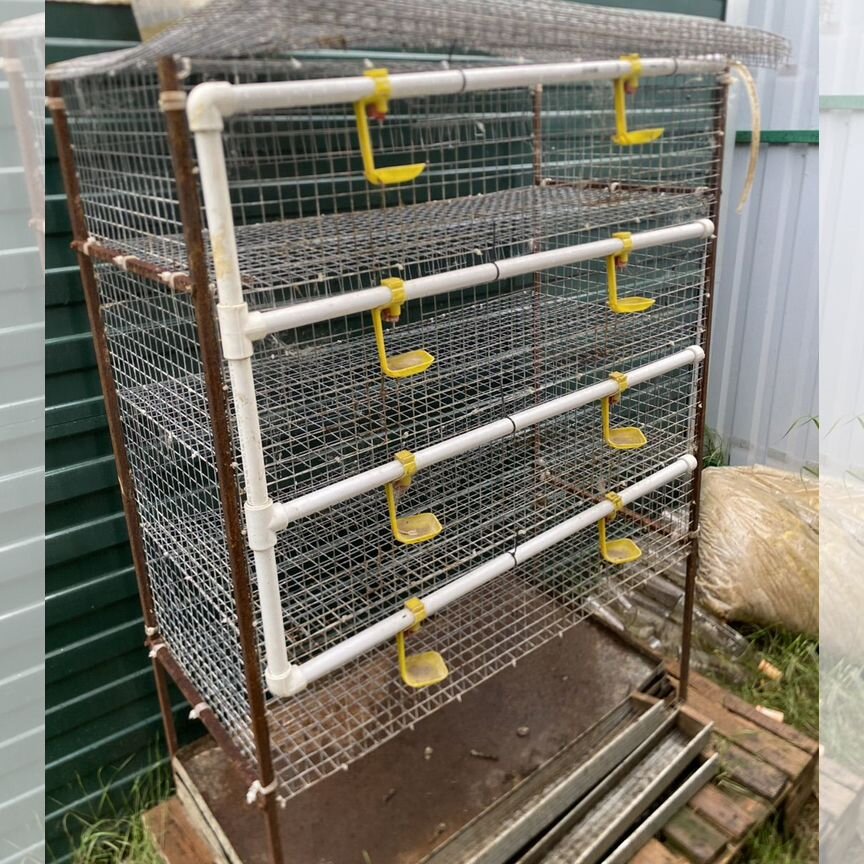 Клетки перепелиные