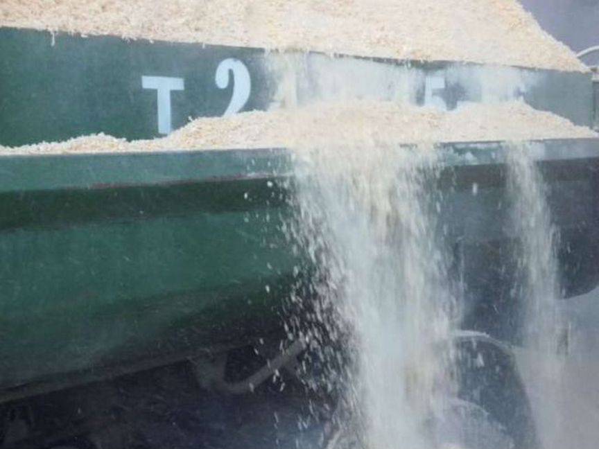 Опилки древесные сухая