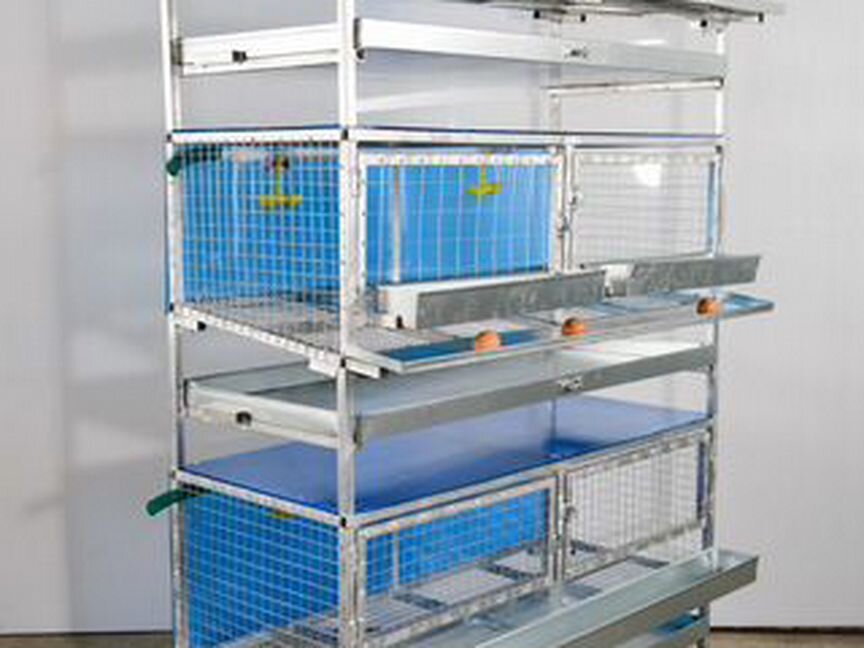 Клетка для кур-несушек