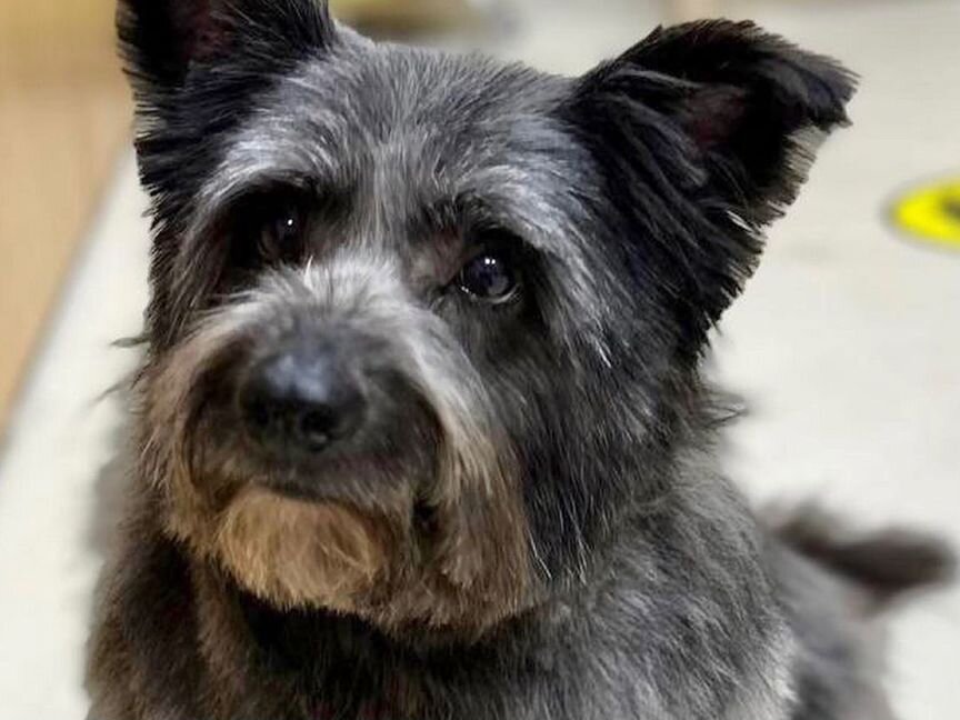 Филя ищет семью