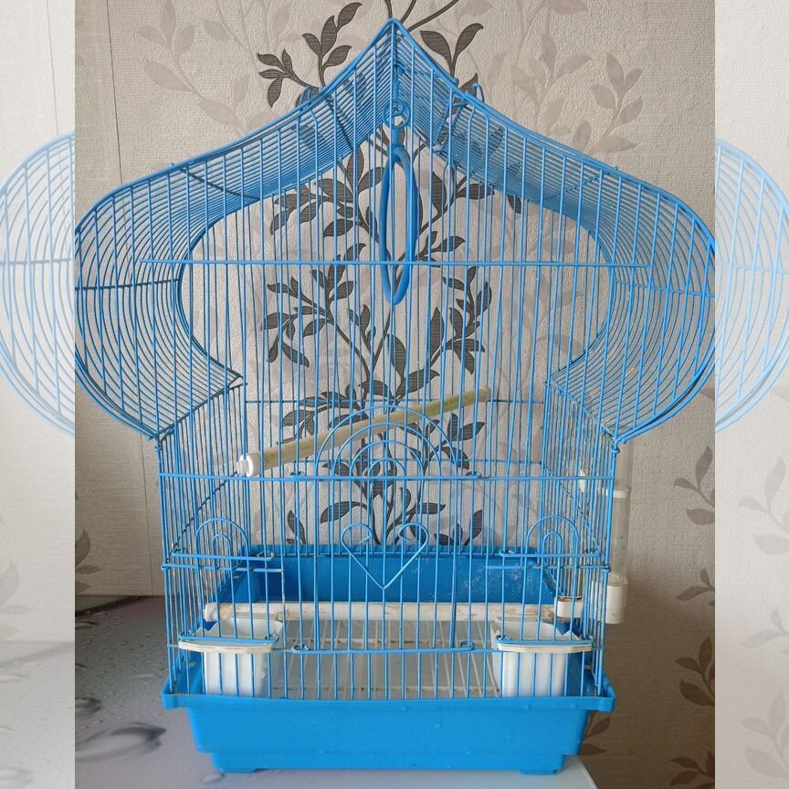 Для любых птиц
