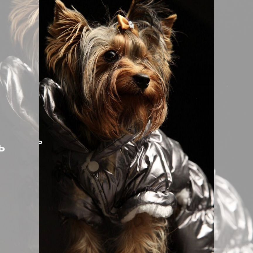 Комбинзон зимний для мелких и средних пород собак